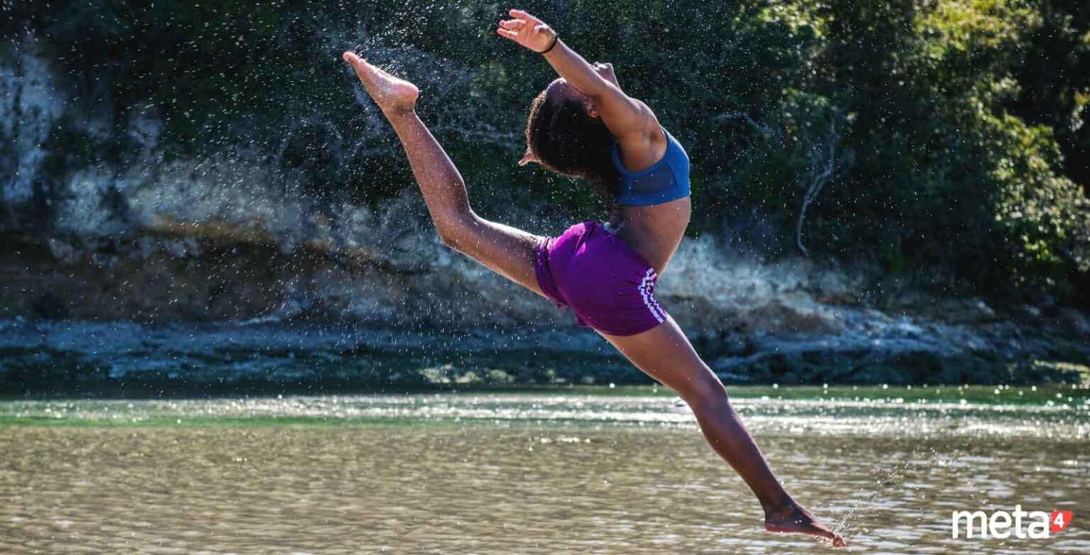 Agility: The New Capacity of Organizations to Achieve Successful ...