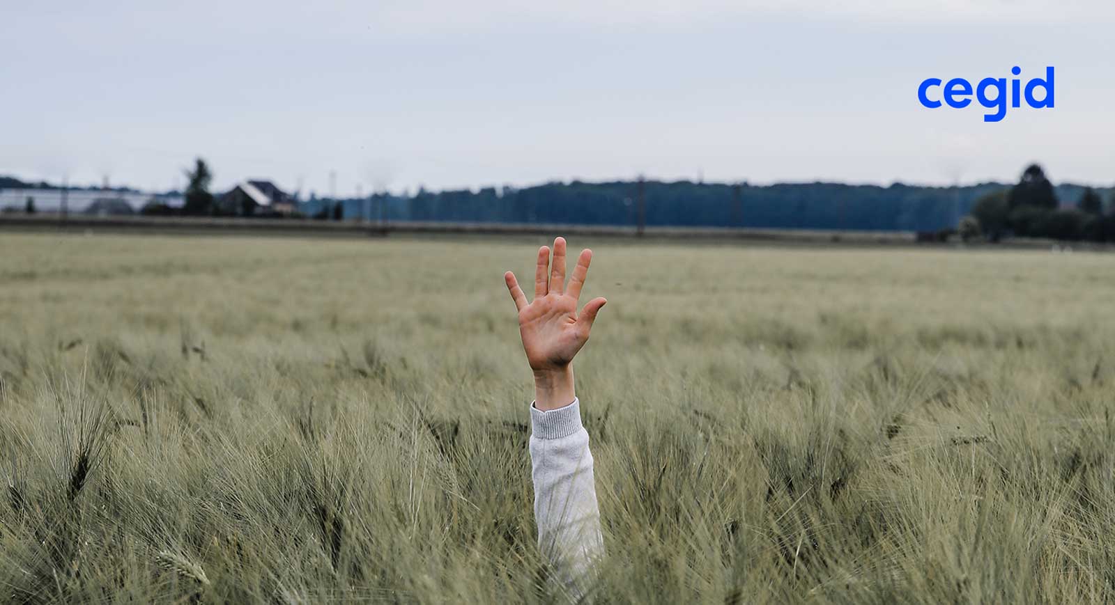 Estas son las cualidades de un líder emergente - Glocalthinking